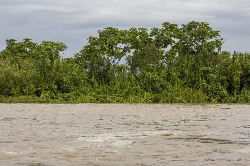 flora y rios_16 – Anaconda Lodge Ecuador